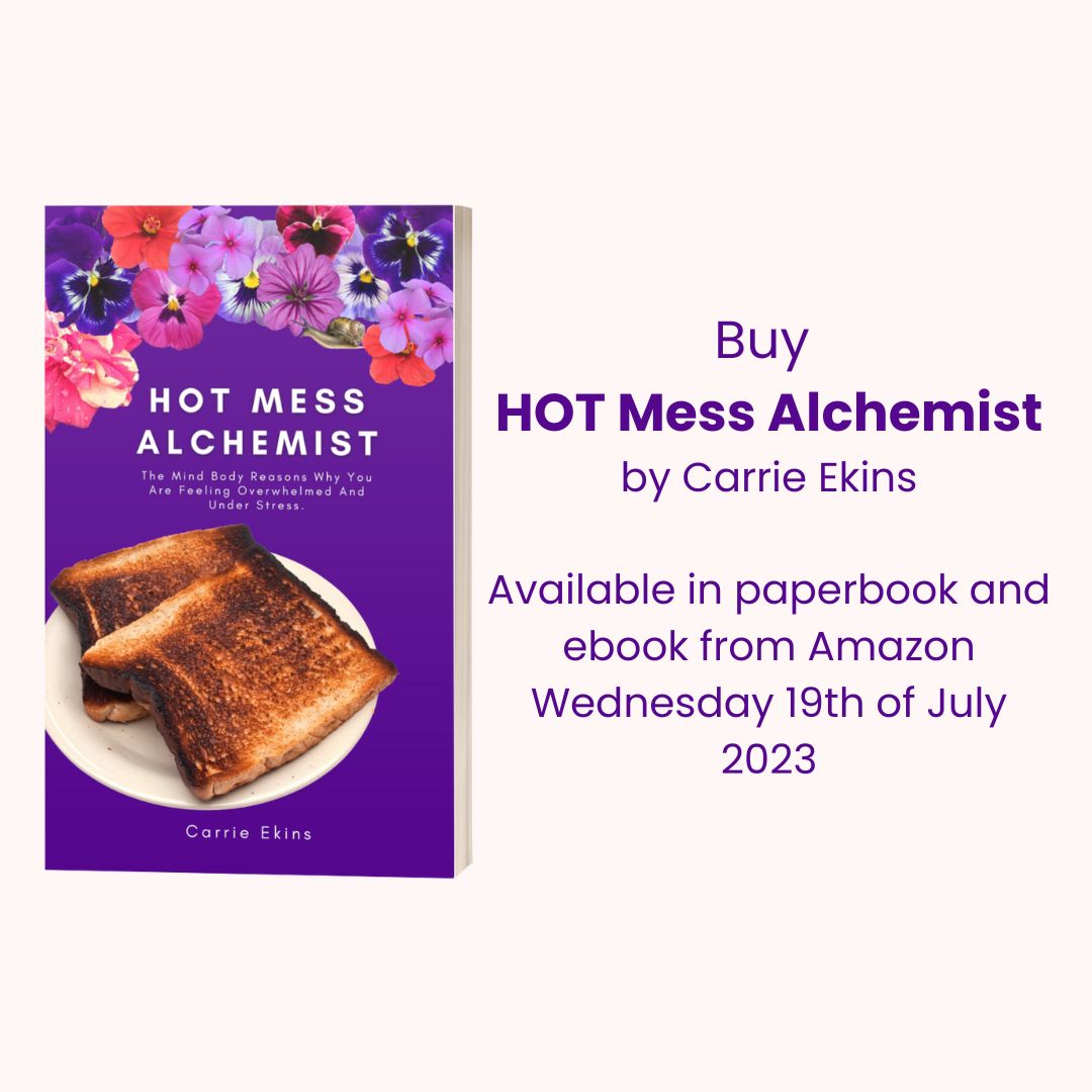 Hot Mess Alchemist Book Launch Party! | Carrie Ekins